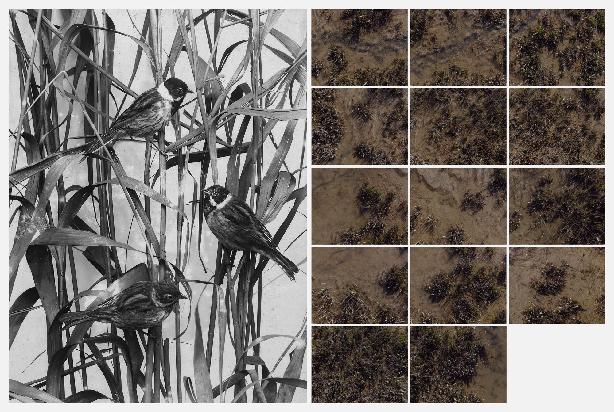 “Unexpected harvests”: What fish die‑offs reveal about aquatic health ...