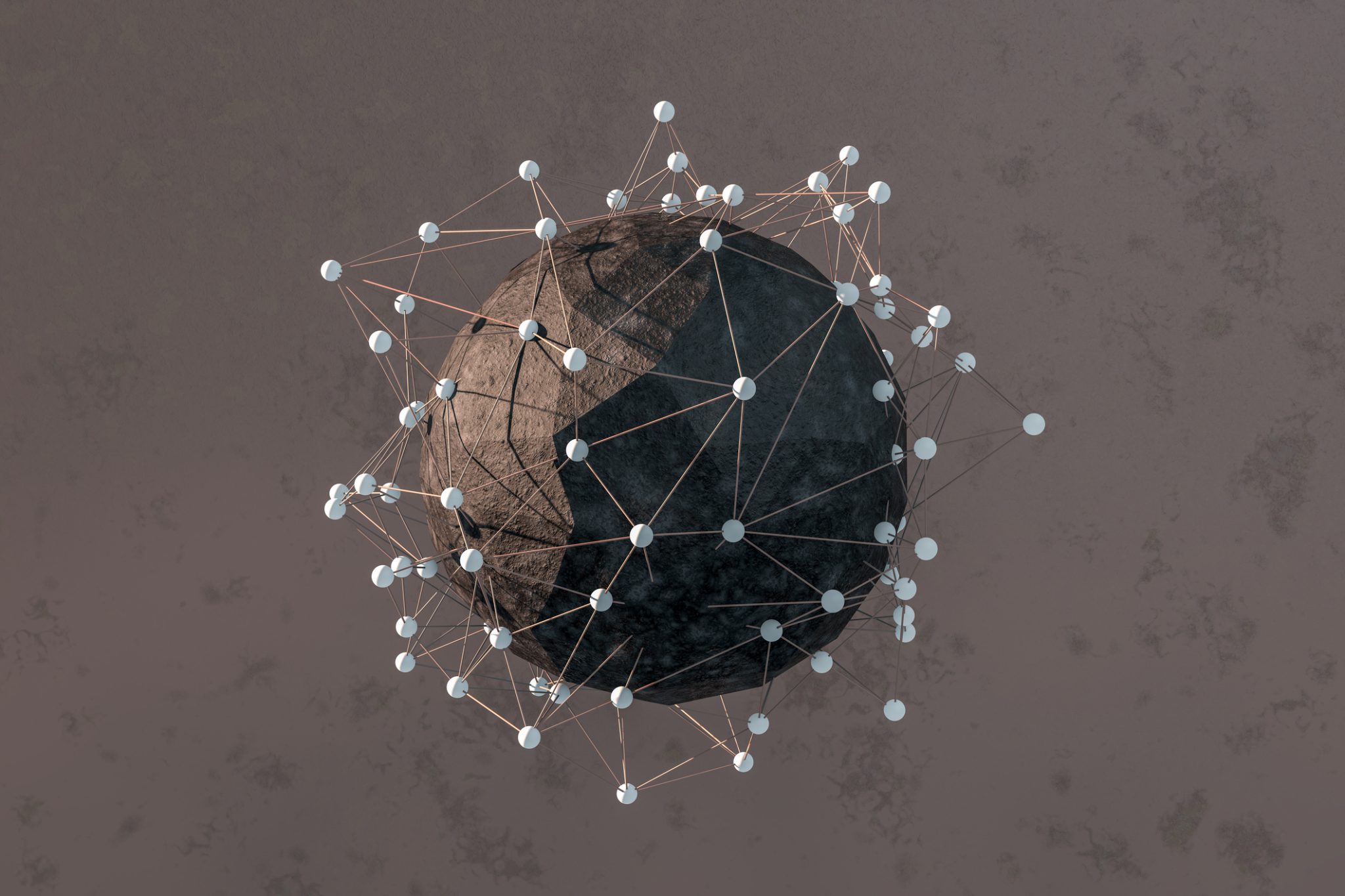 Analysis - The Animal Echo