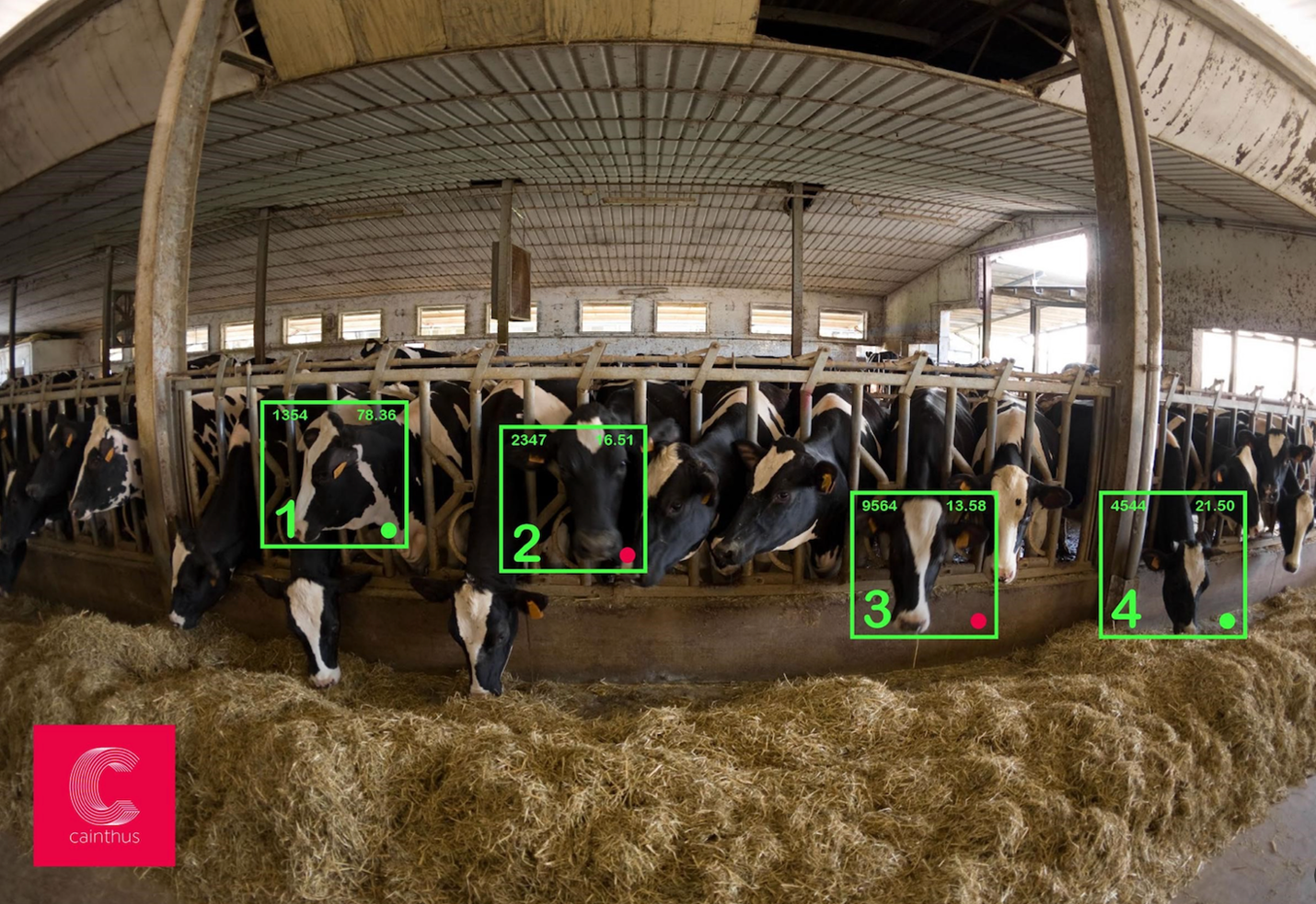 Smart Barns, Digital Kennels: How artificial intelligence is quietly ...