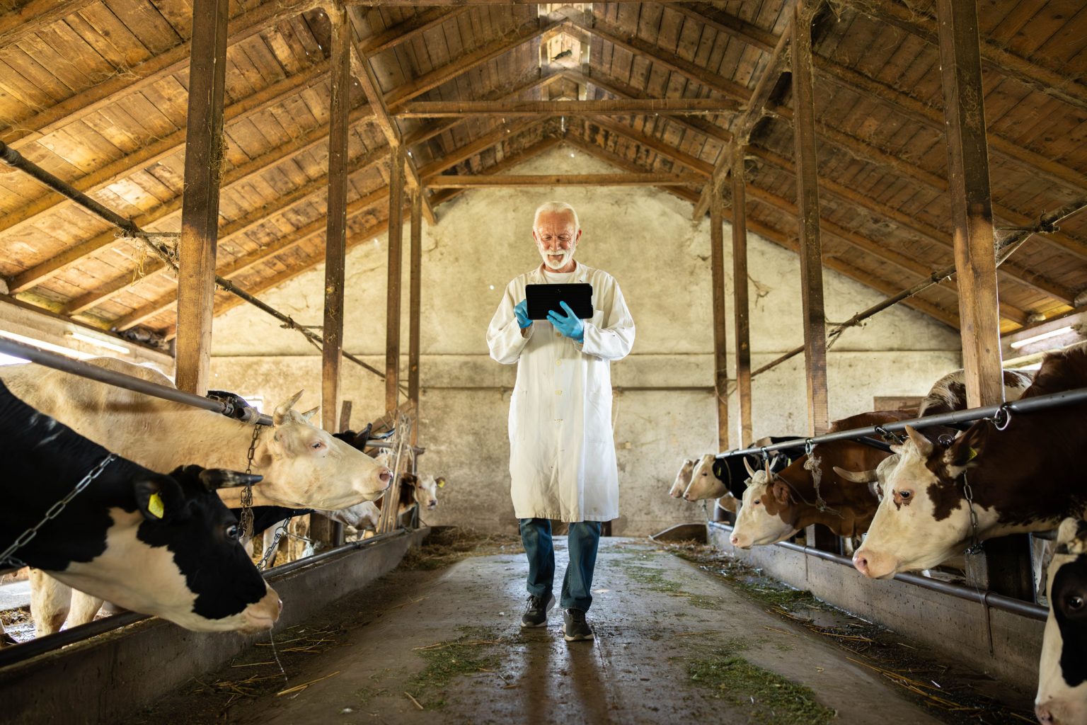 Breeding for Resilience: Interpreting Animal Behaviour With Machine ...