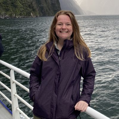 Disease and recovery in wildlife - The Animal Echo