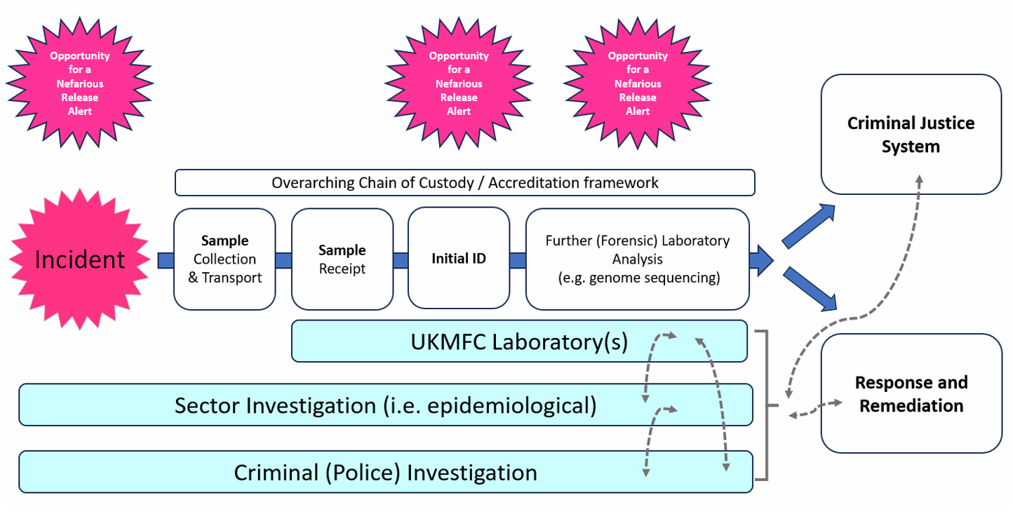 Invisible Challenges, Visible Action: A New One Health Microbial ...