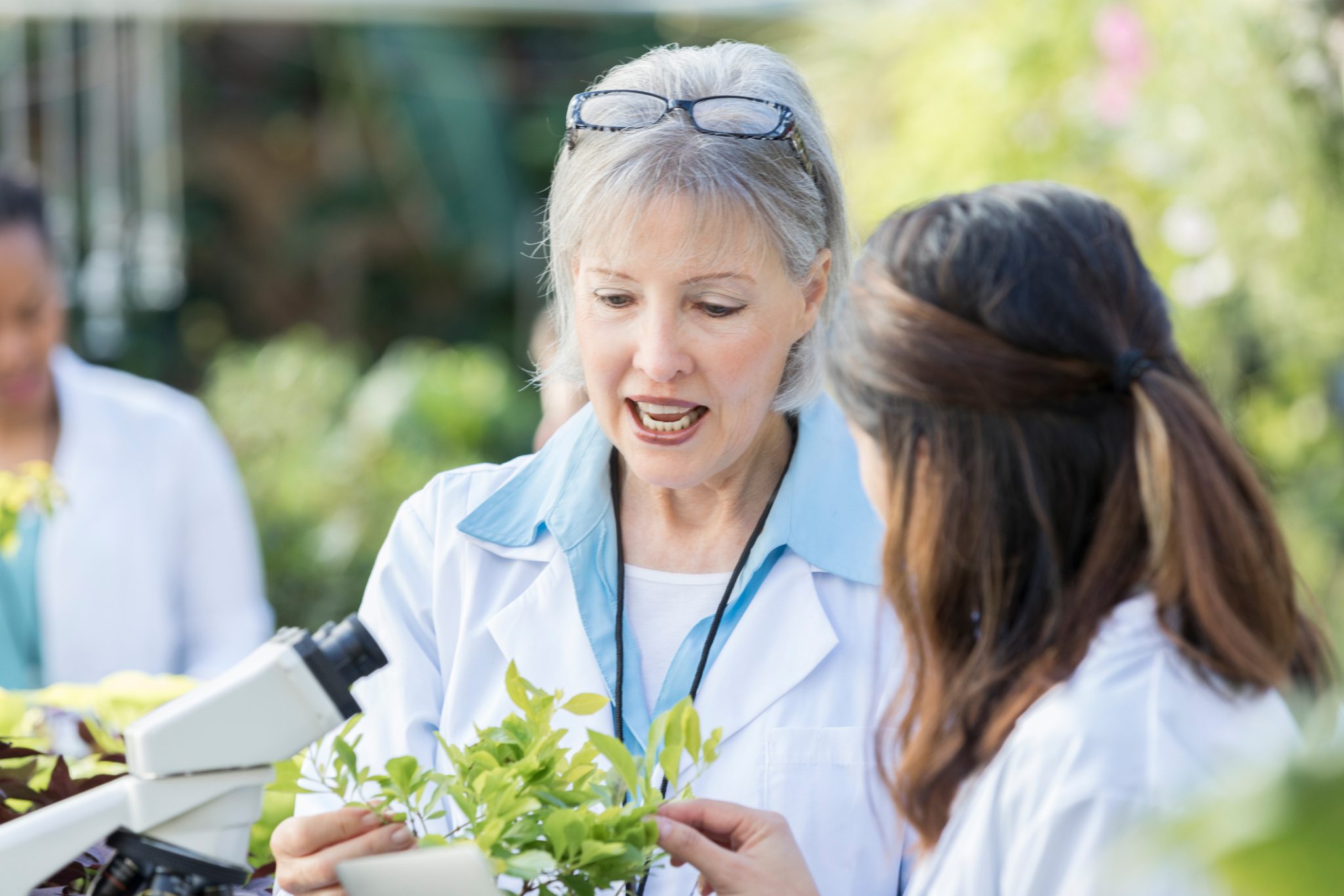 Biosecurity Risks Threaten Agribusiness - The Animal Echo